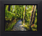 Sam Foley – Artbay Gallery